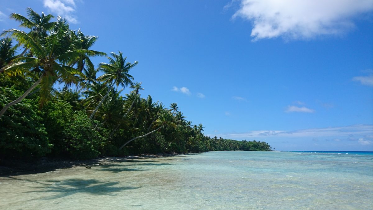 Talofa Samoa | Beyond Essential Systems | Better Health Through ...